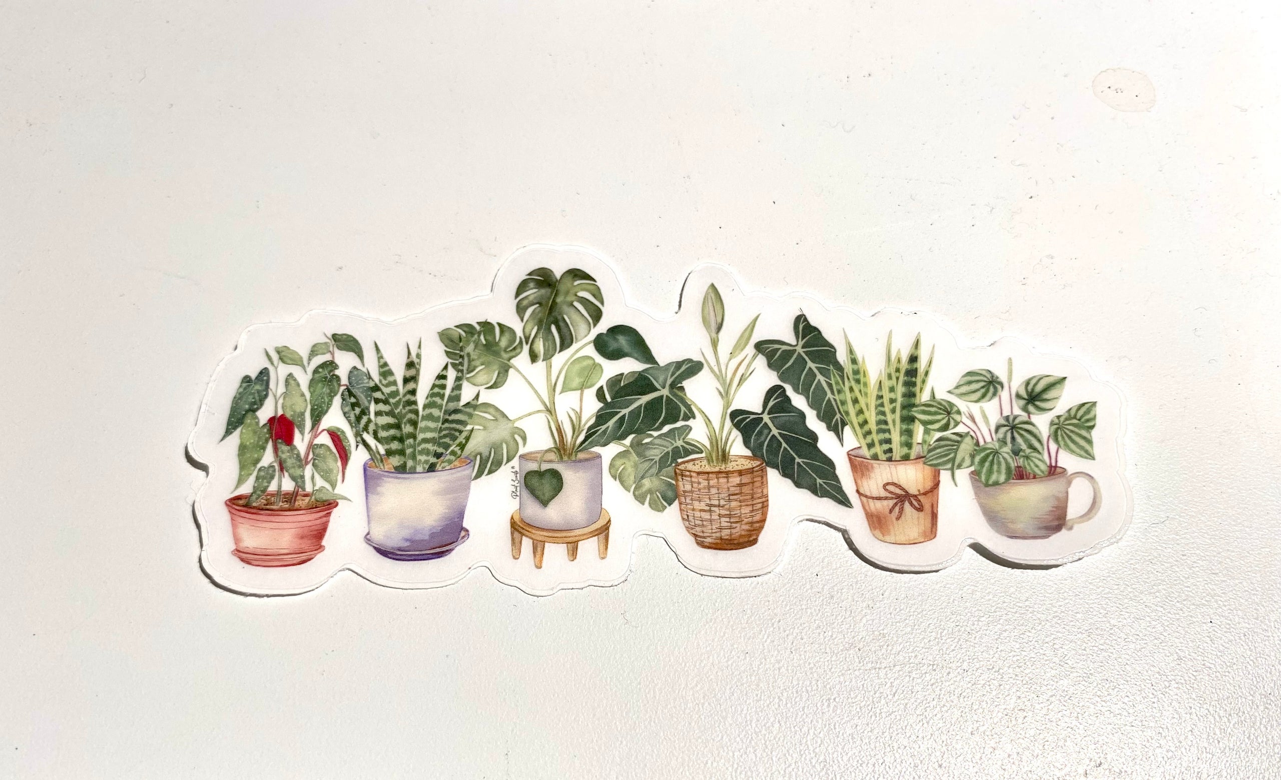 Potted Plants Sticker | Jade & Co