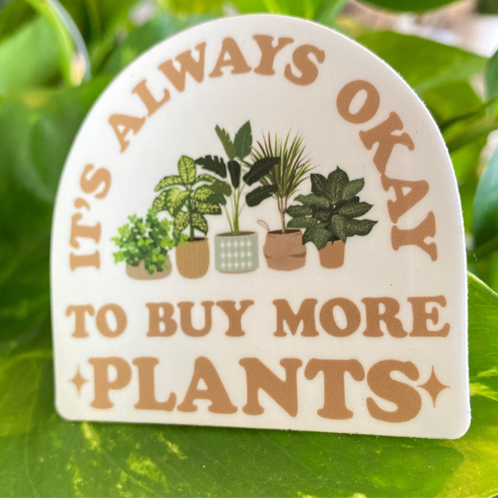 Buy More Plants | Jade & Co