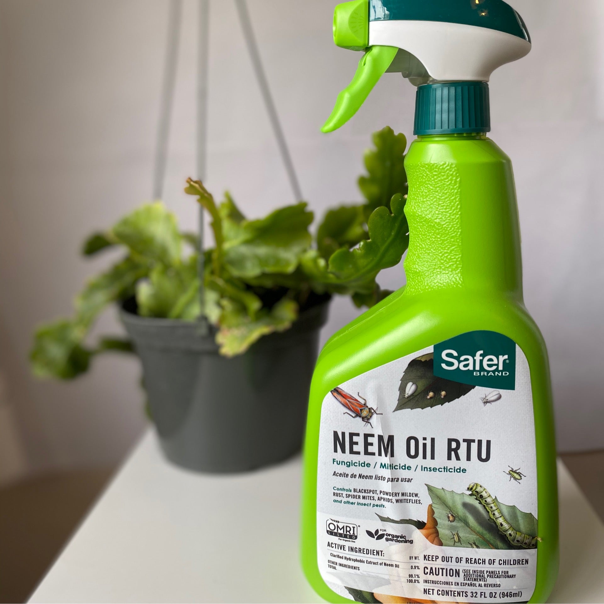 Neem Oil Rtu Spray : Captain Jack’s™ Neem Max RTU w/Power Wand – UIEB
